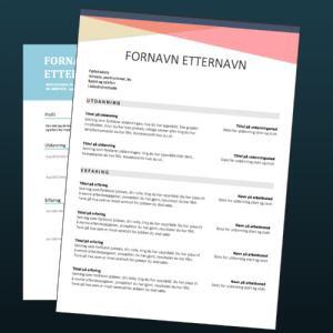 CV-nerdens CV-maler - CV-nerden